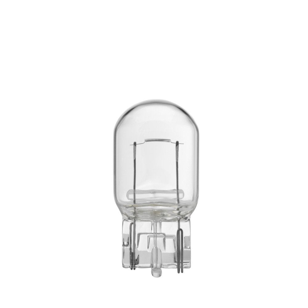 Tail Light Bulbs W16W Bosch Pure Light, 12V, 16W, 10pcs - Pro Detailing